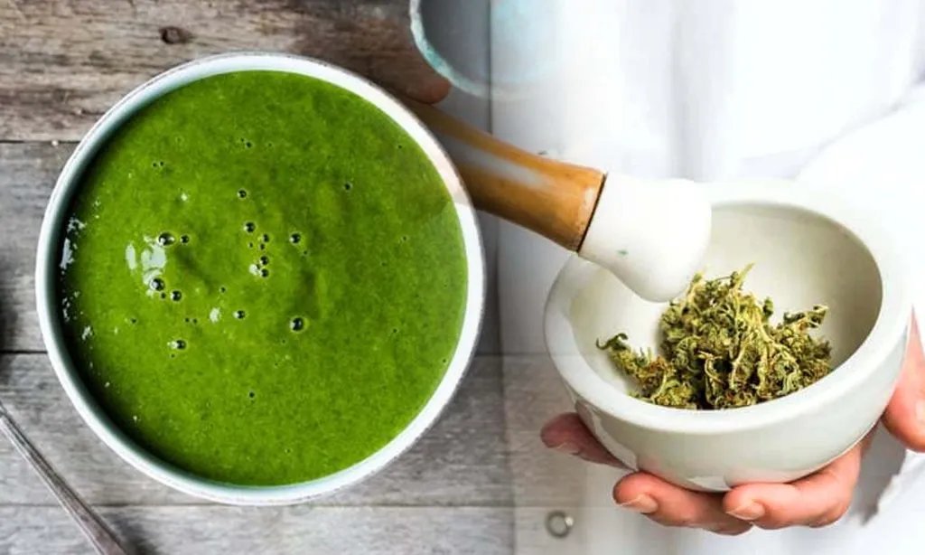 A Beginner's Guide to Making Bhang - MjSeedsCanada