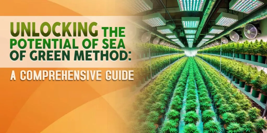Unlocking the Potential of Sea of Green Method: A Comprehensive Guide ...